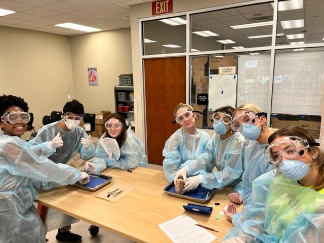 In the Healthcare Academy, it is all about Heart - Career and Technical ...