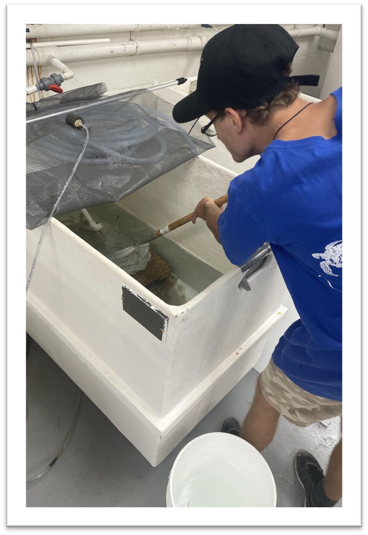 Aquaculture Interns Get Schooled at the Whitney Lab - Career and Technical Education (CTE) of St ...