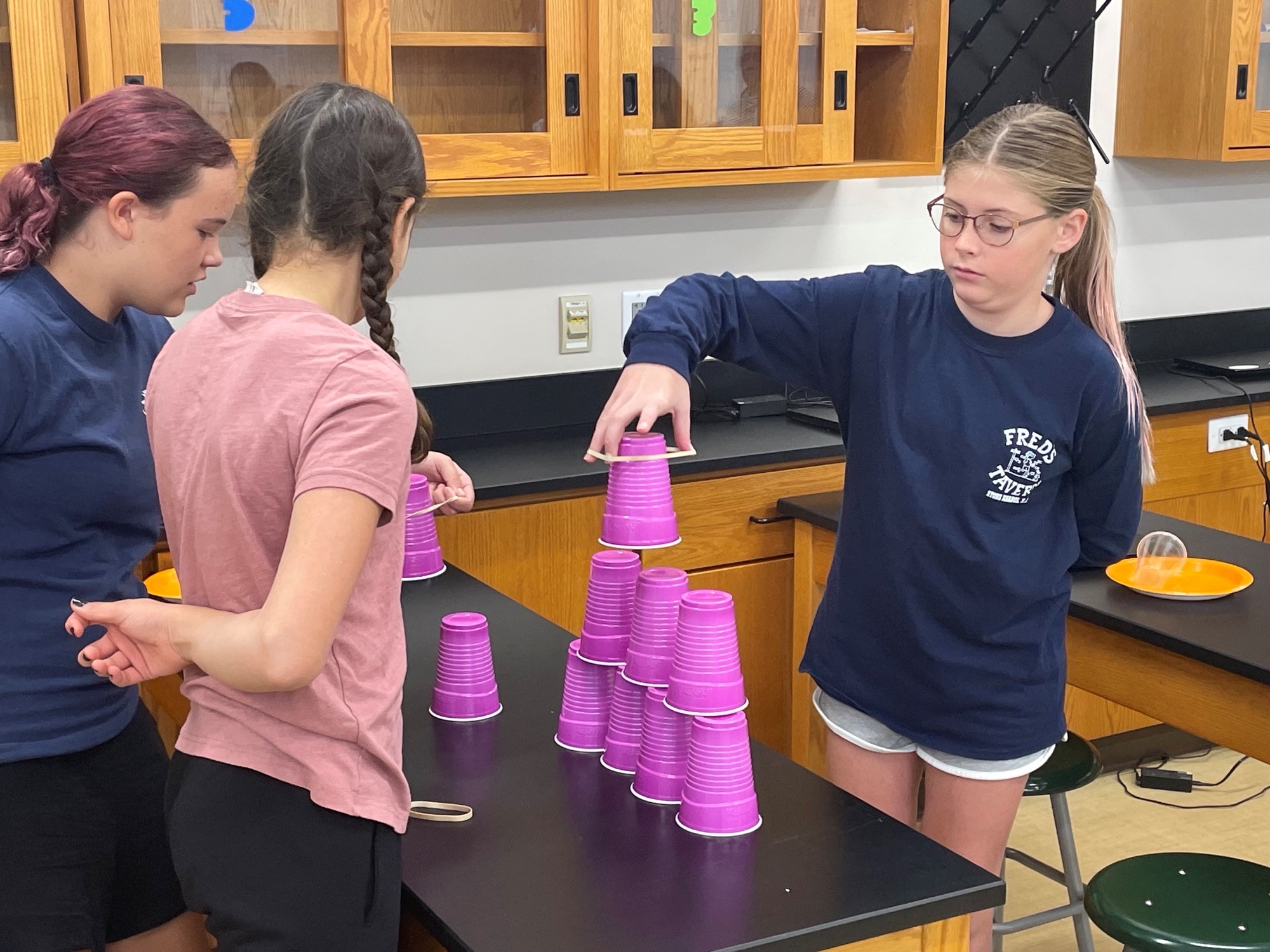 Inspiring the Next Generation of Female Academy Students To Pursue STEM ...